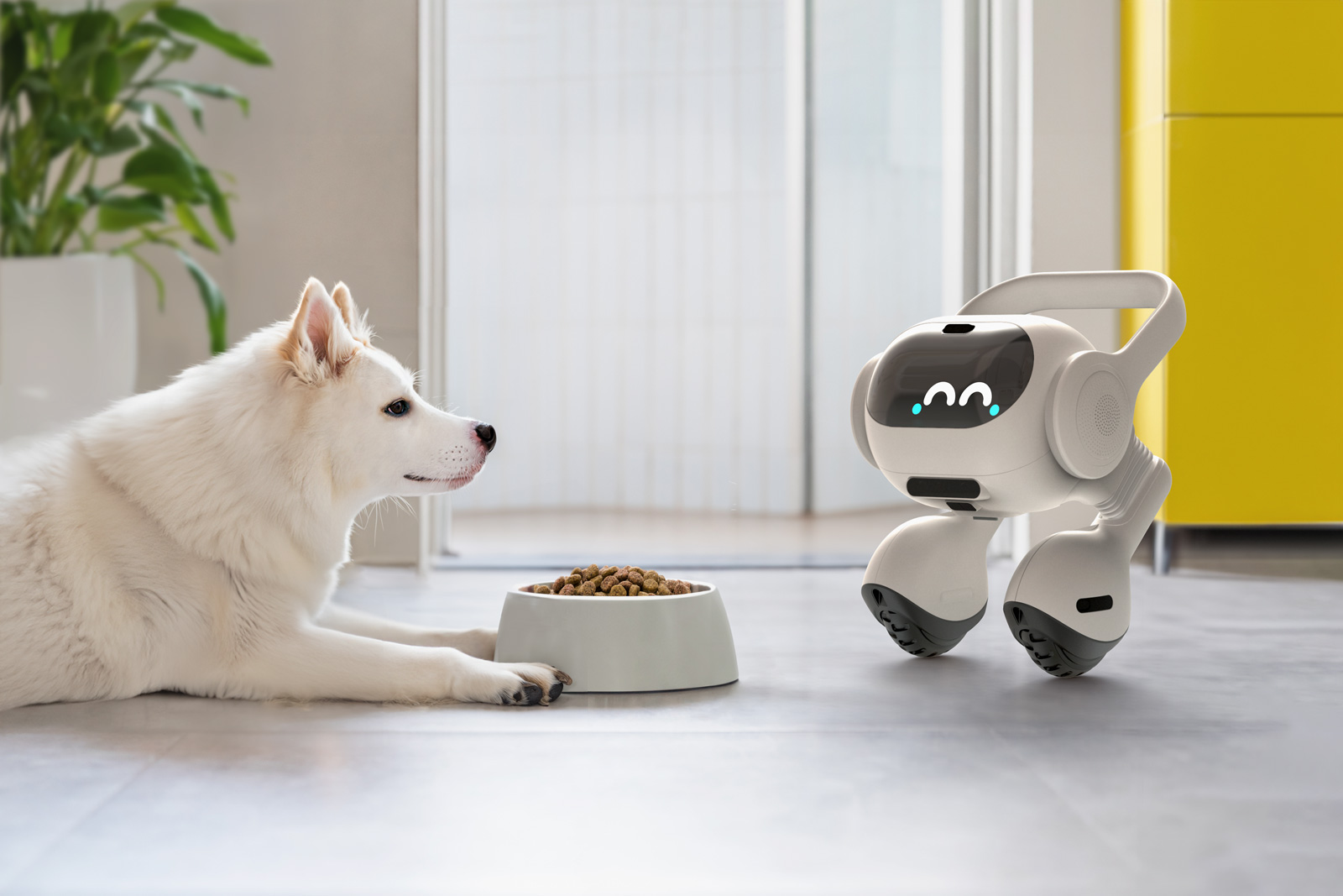 LG | Q9 Developer Site